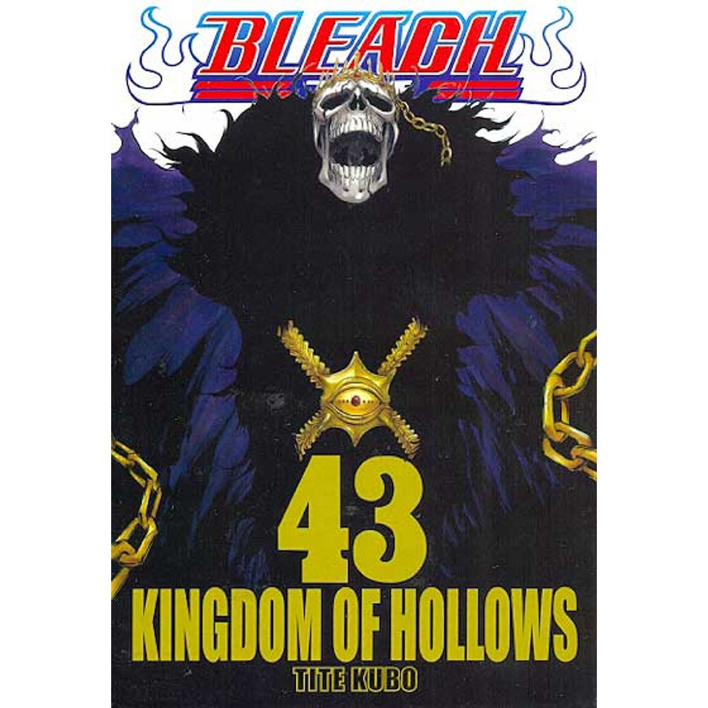 Bleach 43 Editora Panini Gibis Quadrinhos HQs Mangás - Rika